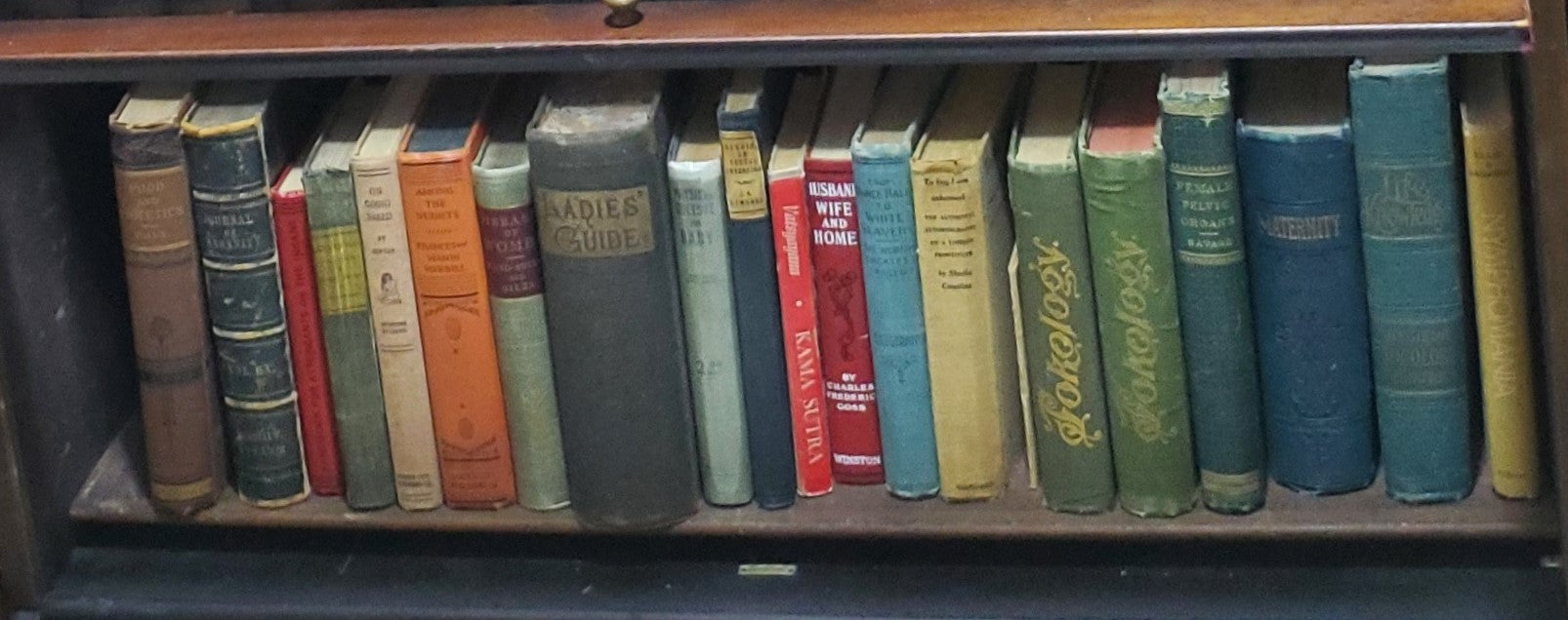 Buy Online: Non-Fiction – Cool Collectibles